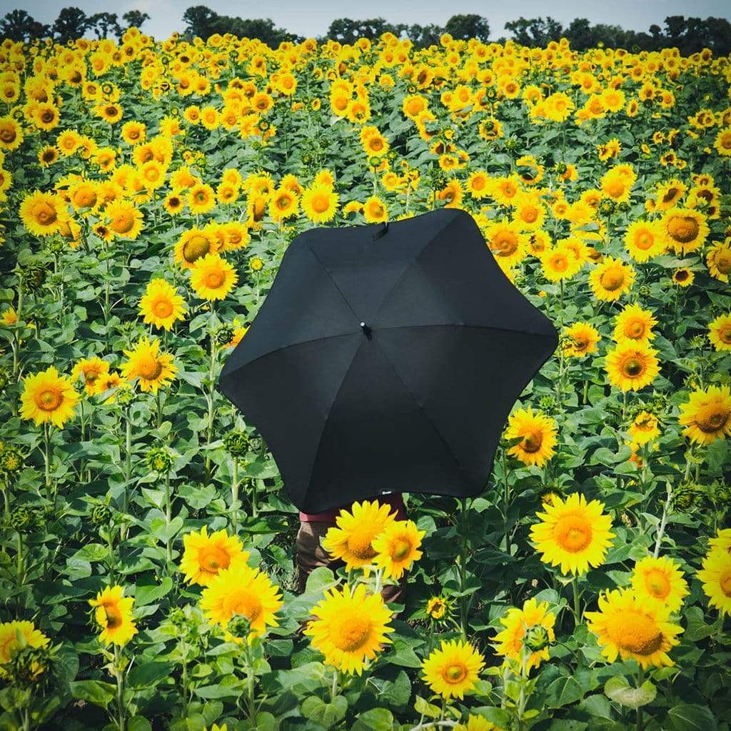 Custom Blunt Classic Umbrella | Corporate Gifting | Clove & Twine